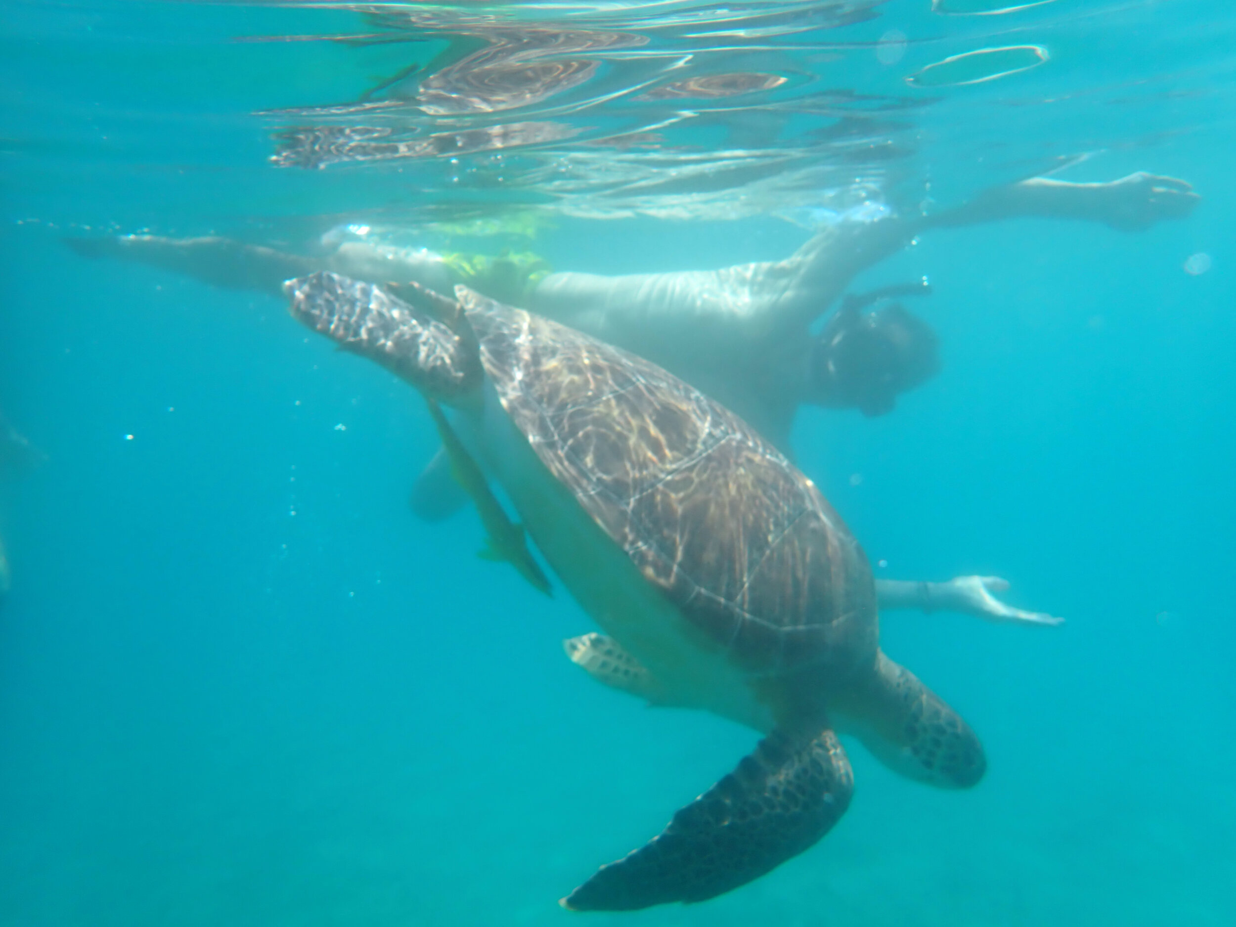 Ancient Sunken City Sea Kayak Tour – Pan Expeditions